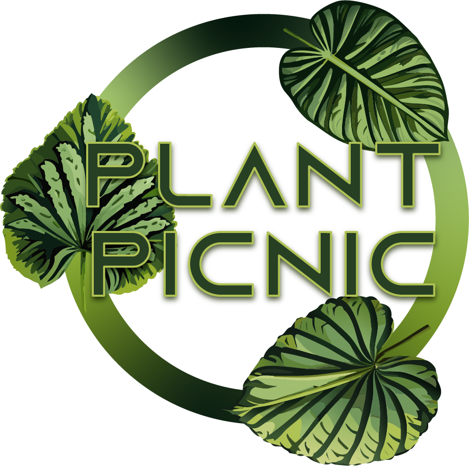 Plant Daddy Dommy's Blog